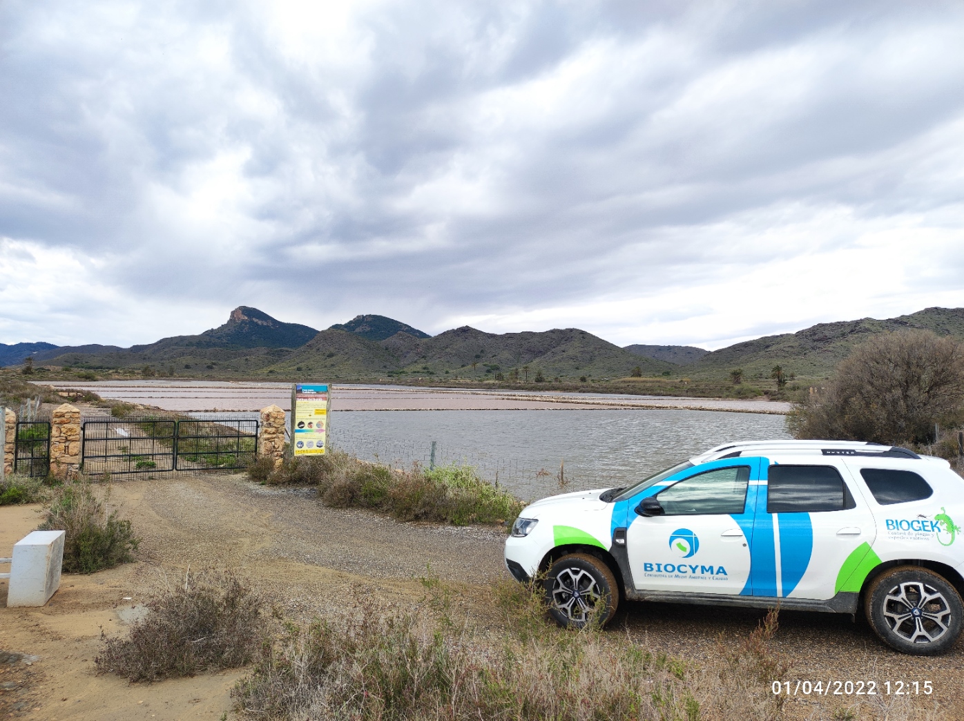 Control biológico de plagas: Bacillus thuringiensis como controlador de ...